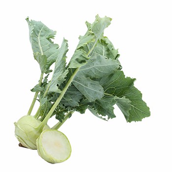 Ceylon Harvest - Fresh Organic Products from Sri Lanka