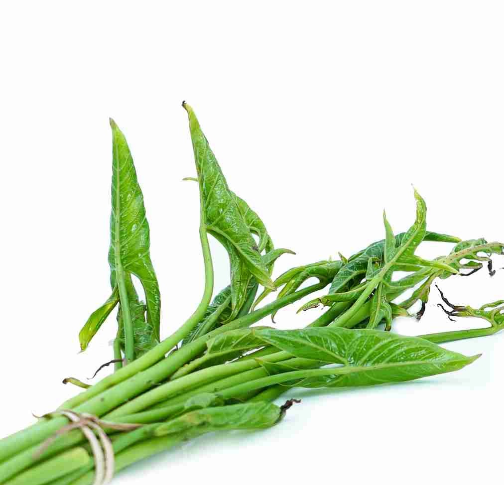 Ceylon Harvest - Fresh Organic Products from Sri Lanka